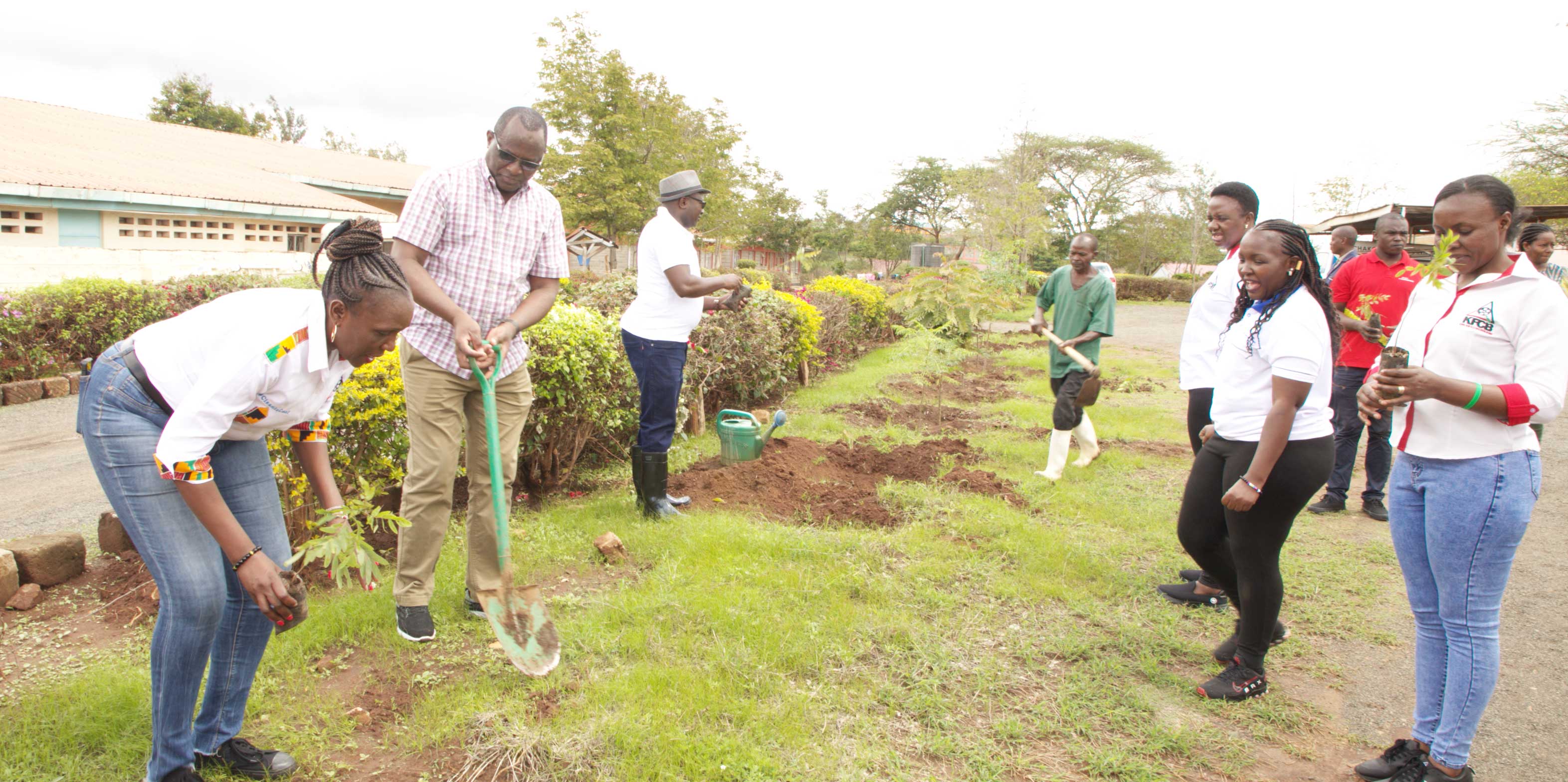 Contributing Towards a Greener Environment - Tree Planting at Matuu ...